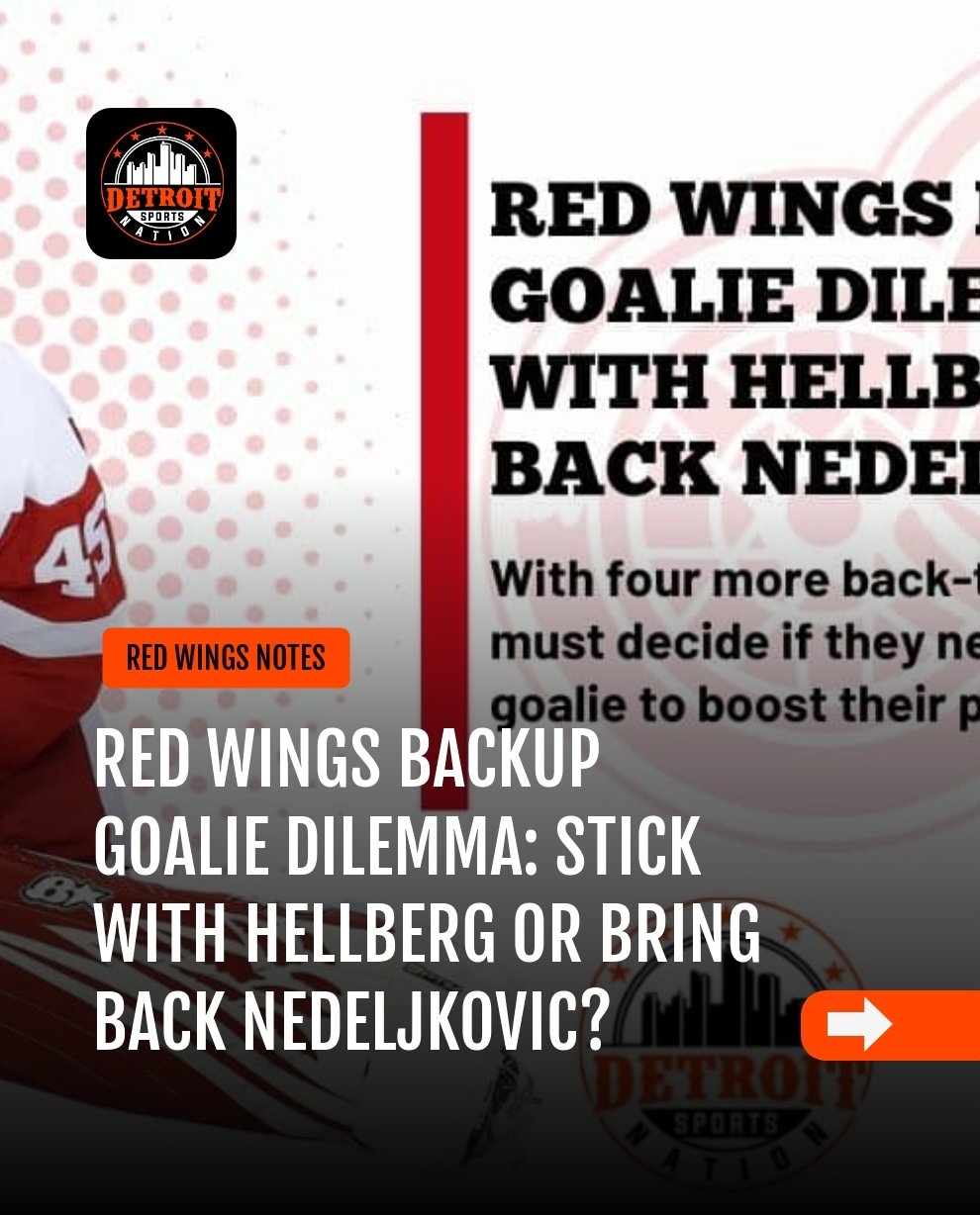 Red Wings Backup Goalie Dilemma: Stick with Hellberg or Bring Back ...
